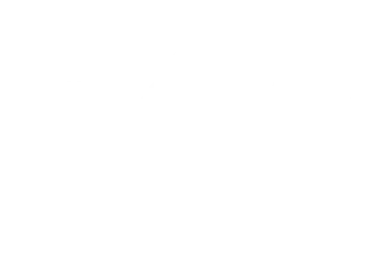 Assistance Plus